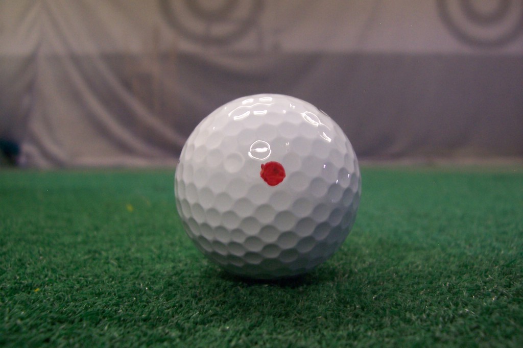The Sweet Spot - Your Virtual Golf Lesson with EvoSwing Golf