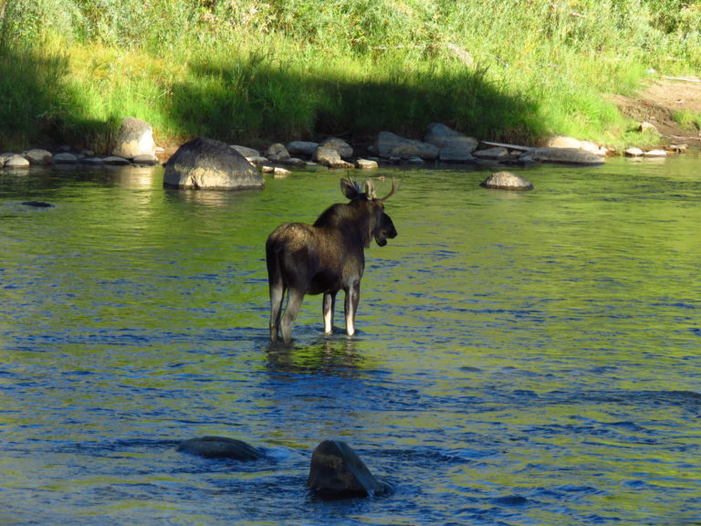 What to do in Durango | Activities in Durango | Mtn Town Magazine