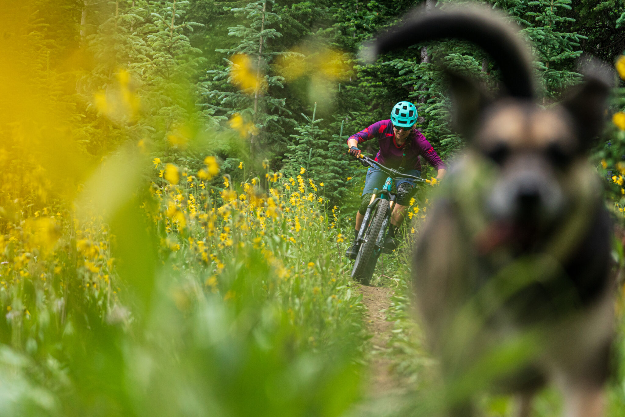 Liam Doran - Making Photography a Profession in a Colorado Mountain ...