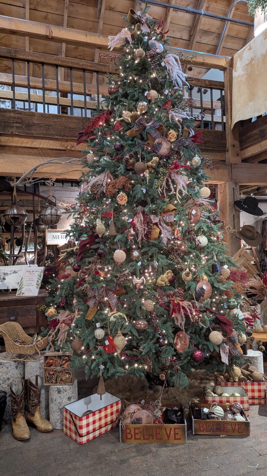 Evergreen Colorado - Magical! - Mountain Town Magazine